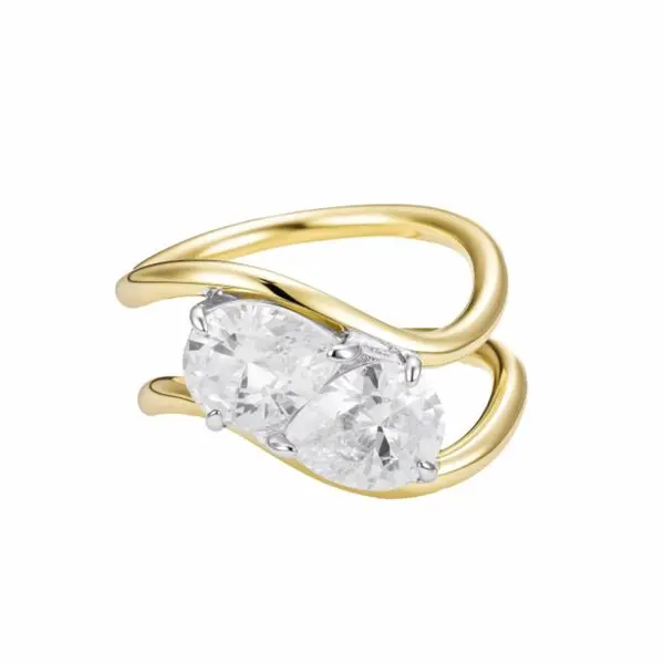 ONEWILDONE Your Level Of Audacity Ring - Gold