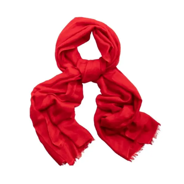 Saachi Cashmere Silk Scarf