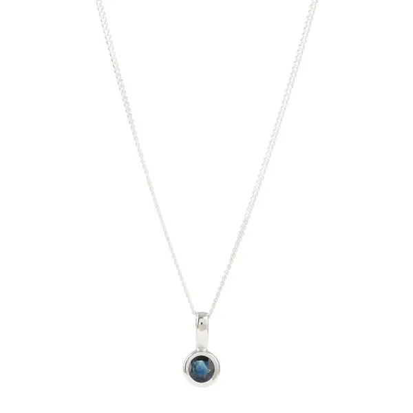 CHARLOTTE'S WEB JEWELLERY Silver / Blue September Birthstone Charm Silver Necklace Sapphire - Silver/blue