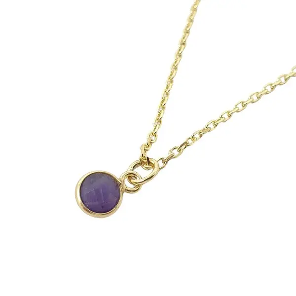 HARFI Gold / Yellow Mini February Amethyst Birthstone Charm Gold Plated Chain - Gold/yellow