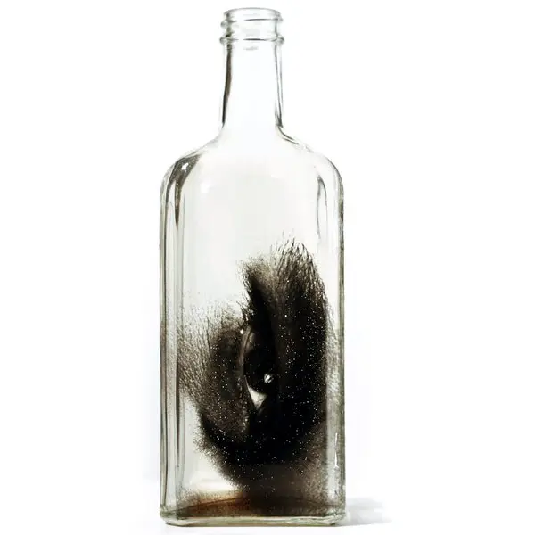 BABS BOUTIQUE NYC Babs Hand Printed Eye Vintage Bottle Art - Black