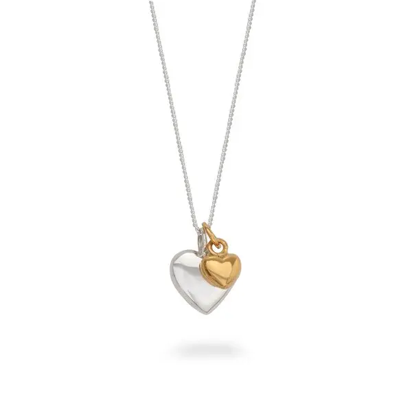LIME TREE DESIGN Silver / Gold Double Heart Necklace - Silver/gold