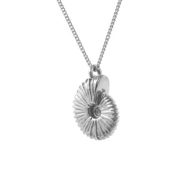 LEE RENEE Ammonite Necklace - Silver