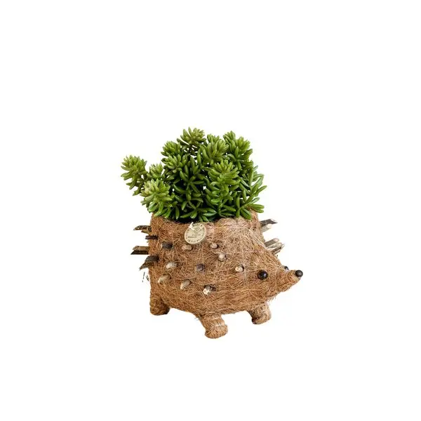 Likhâ Baby Hedgehog Coco Coir Planter Cute Mini Animal Pot For Succulents - Brown