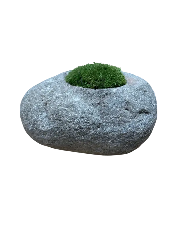 Botanical Boys Green / Grey Indo Riverstone Planted With Preserved Moss Fr71 - Green/grey