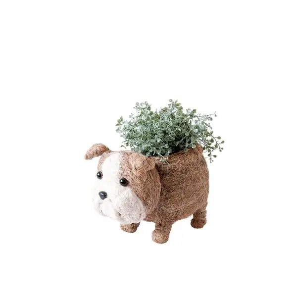 Likhâ English Bulldog Planter Coco Coir Pots - Brown