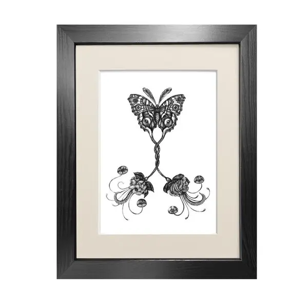 EMILY CARTER Coenia Oculus Fine Art Print A4 - Black