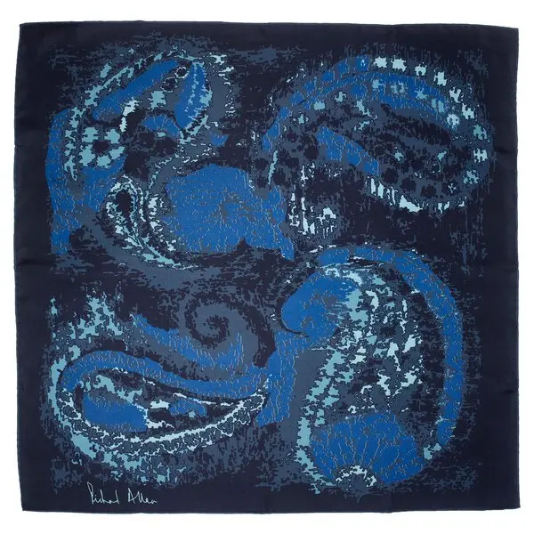 RICHARD ALLAN LONDON Illusion Silk Scarf - Blue