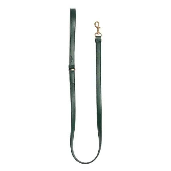 ALECOO Classy Dog Leash Dark Gold - Green