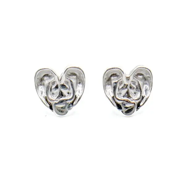 APRÈS YOUTH A Good Listener Earrings Small - Silver