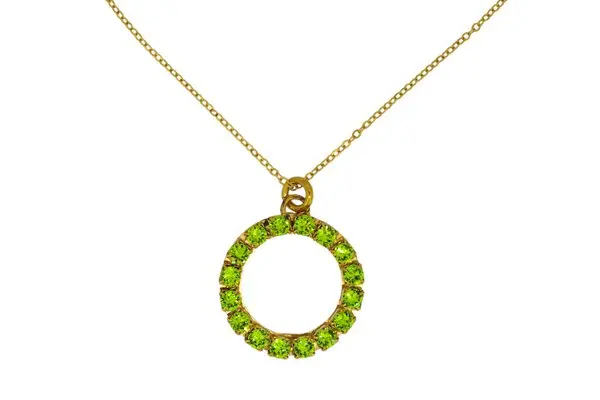 VICKISARGE The Hoop Necklace In Gold Long - Green