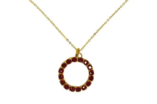 VICKISARGE The Hoop Necklace In Gold Long - Red