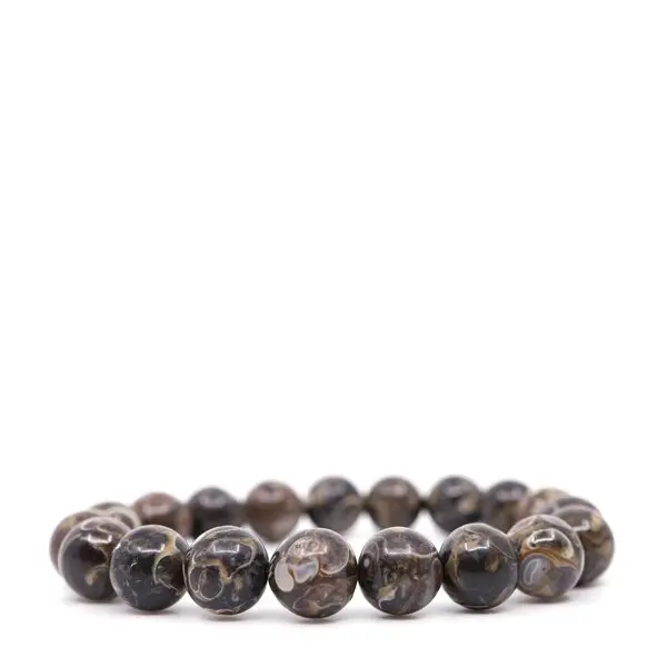 Shar Oke Neutrals Turritella Agate Bracelet - Brown