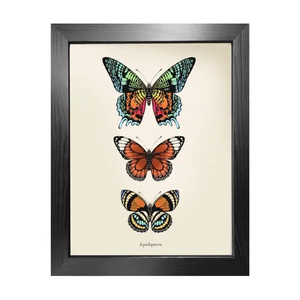 EMILY CARTER Antique Tropical Butterflies I' Fine Art Print A3 - White