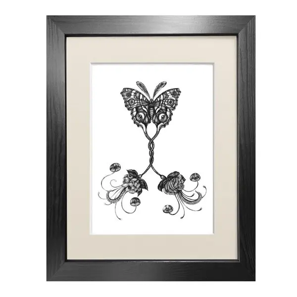 EMILY CARTER Coenia Oculus' Fine Art Print A3 - Black