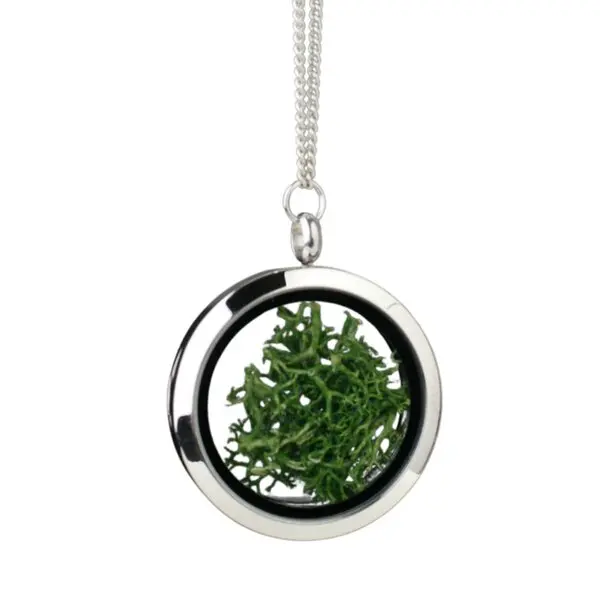 MY LITTLE NATURE Green / Silver Designer Jewellery Necklace With Preserved Green Moss - Green/silver