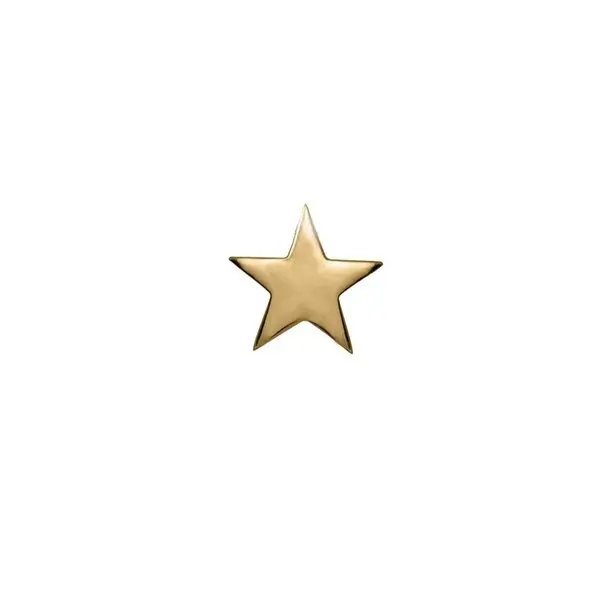 EDGE ONLY Star Pin 18ct Vermeil - Gold