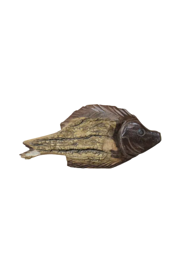 Botanical Boys Driftwood Hand Carved Fish One One Six Sixteen - Brown
