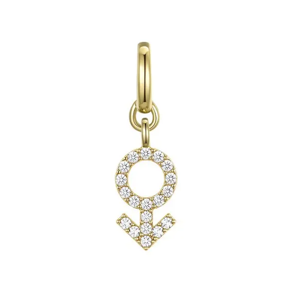 UNLEASH CPH Companion Male Charm - Gold