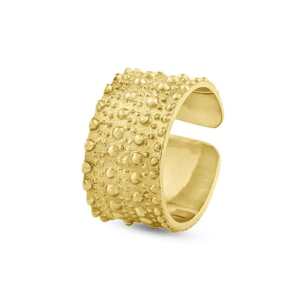 SOPHIE SIMONE DESIGNS Horizon Large Ring - Gold