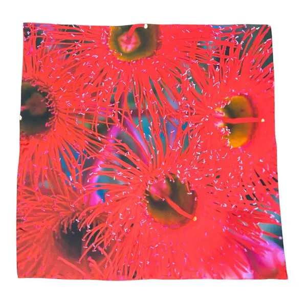 LINDSAY NICHOLAS NEW YORK Melbourne Scarlet Burst Silk Scarf - Red