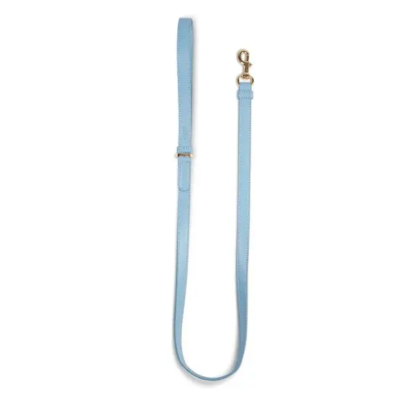 ALECOO Classy Dog Leash Ice Gold - Blue