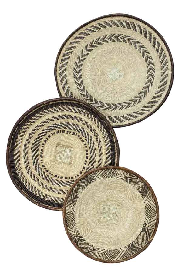 Botanical Boys Neutrals / Tonga Basket Collection Ninety Five - Brown