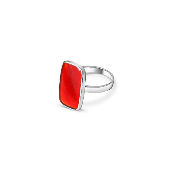 FV JEWELLERY La Stèle Carnelian And Silver Rectangle Ring