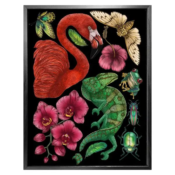 EMILY CARTER Antique Tropical Flora & Fauna Fine Art Print A5 - Black