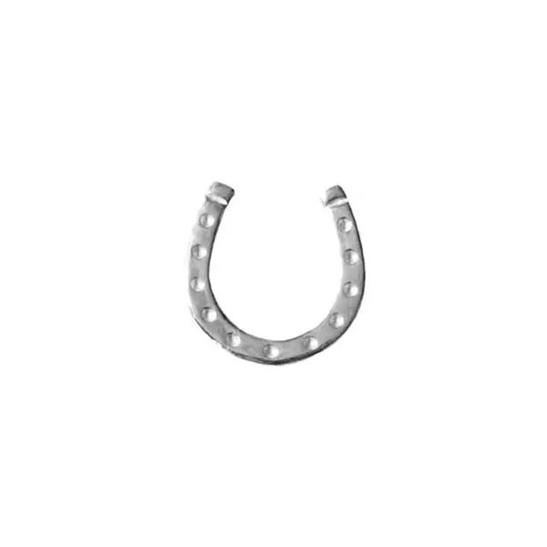 LEE RENEE Lucky Horseshoe Lapel Pin - Silver