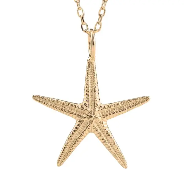 DAINTY LONDON Maxi Starfish Necklace - Gold