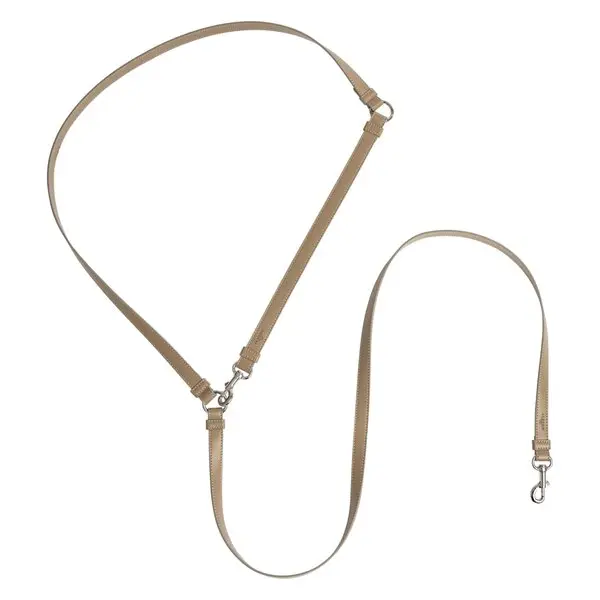 ALECOO Neutrals Classy Dog Leash Adjustable Taupe Silver - Gray