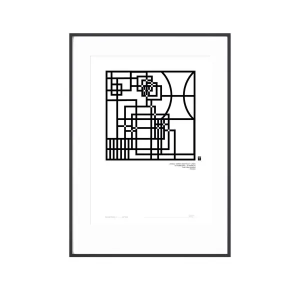 Curiosity Snug Zodiac Series Abstract Lines Pisces Print - Black