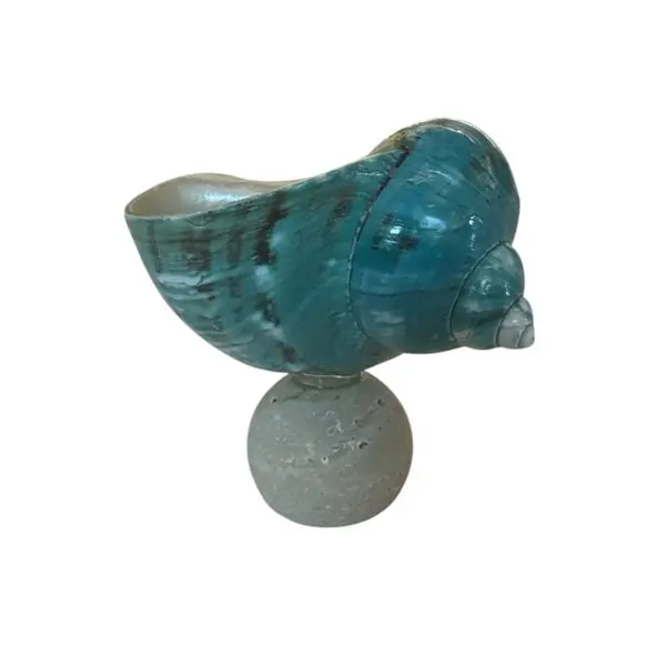 SUKI WANG LONDON Natural Seashell Jewelry Decor - Blue