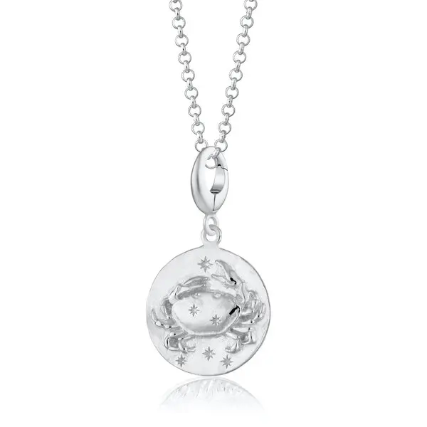 LILY CHARMED Sterling Cancer Zodiac Charm Necklace Star Sign Necklace - Silver