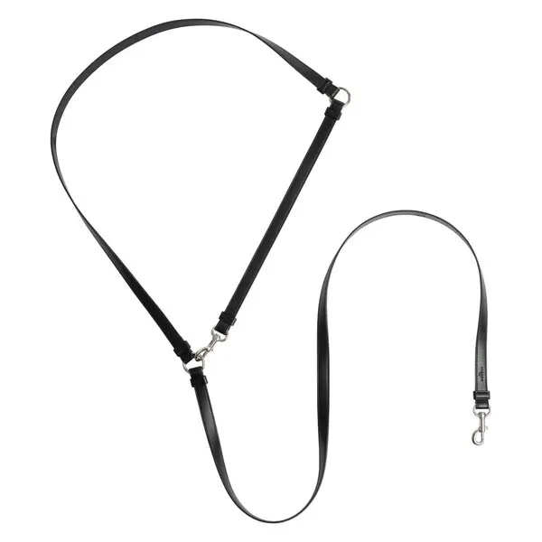 ALECOO Classy Dog Leash Adjustable Silver - Black