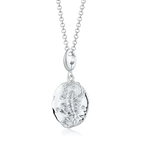 LILY CHARMED Sterling Scorpio Zodiac Charm Necklace Star Sign Necklace - Silver