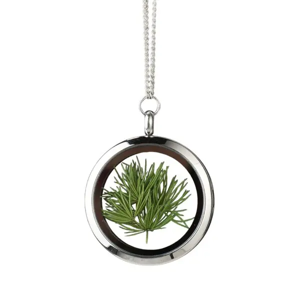 MY LITTLE NATURE Green / Silver Designer Jewelry Necklace With Natural Pine Needles Nature Inspired Jewellery - Green/silver