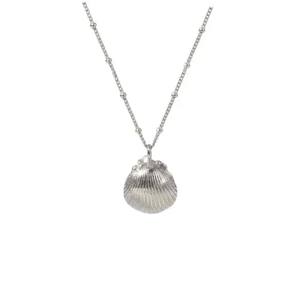 DAINTY LONDON Dainty Seashell Necklace