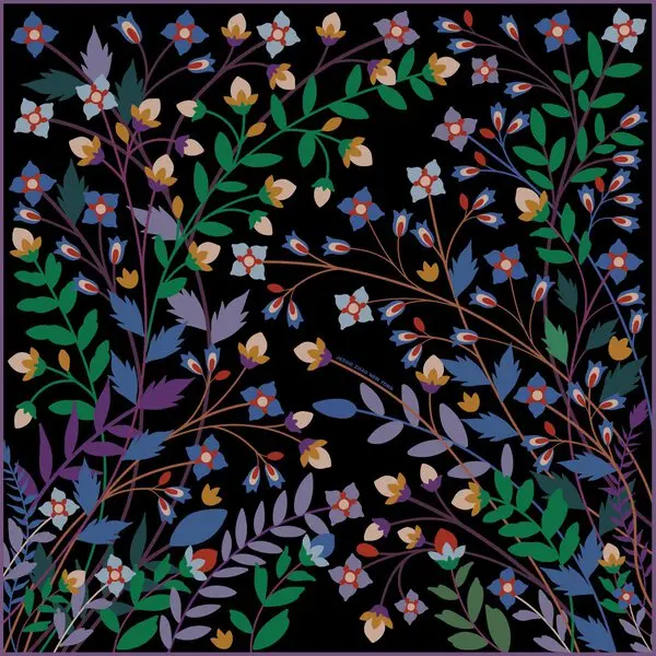 JESSIE ZHAO NEW YORK Double Sided Wool Silk Shawl Of Night Garden - Black