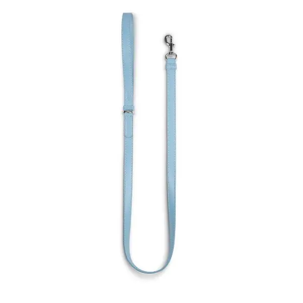 ALECOO Classy Dog Leash Ice Silver - Blue