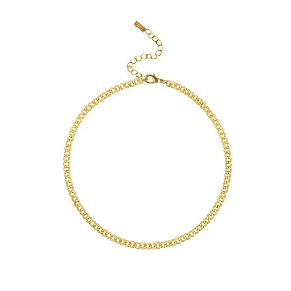 ADRIANA PAPPAS DESIGNS Curby Chain Necklace - Gold