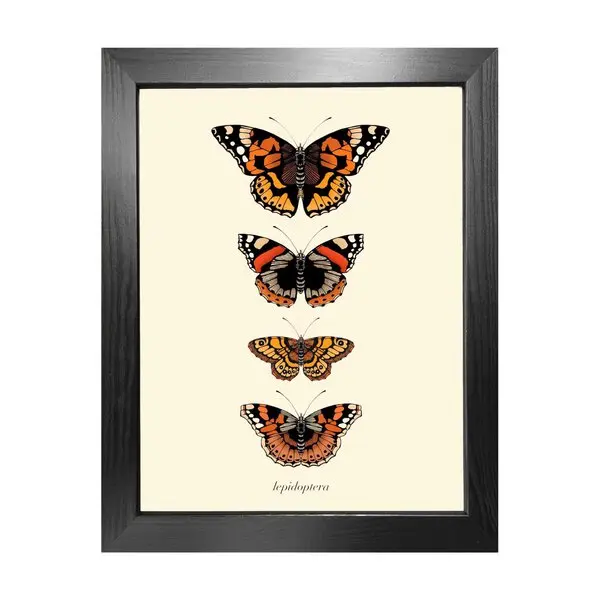 EMILY CARTER Antique British Butterflies Iv' Fine Art Print A3 - Gold