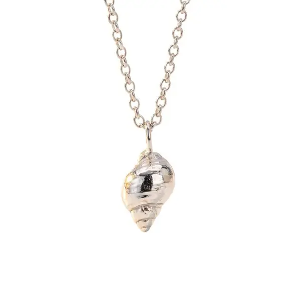 DAINTY LONDON Large Periwinkle Seashell Necklace - Silver