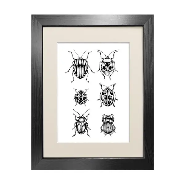 EMILY CARTER British Beetles' Fine Art Print A3 - Black