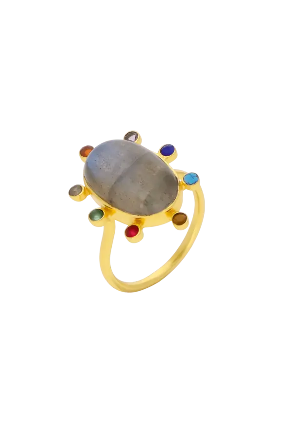 LAVANI JEWELS Dharma Multicolor Ring - Grey