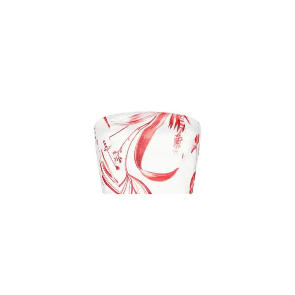 AGUACLARA Rouge Bustier Top - Red