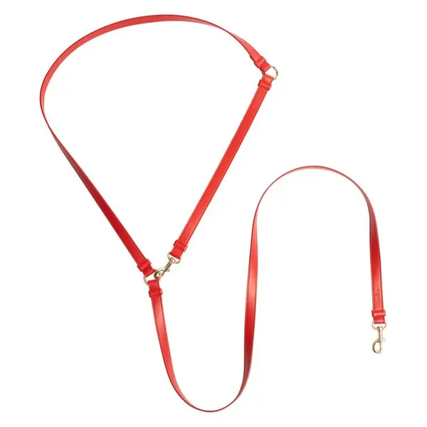 ALECOO Classy Dog Leash Adjustable Gold - Red