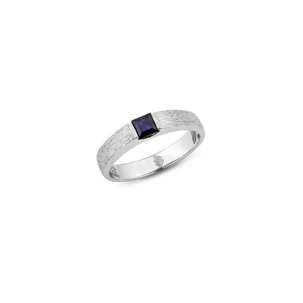 SALLY SKOUFIS Blue / Silver Animus Ring With Natural Sapphire In Brushed Sterling Silver - Blue/silver