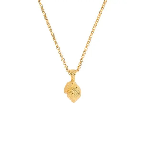CLAIRE HILL DESIGNS Lemon Charm Necklace - Gold